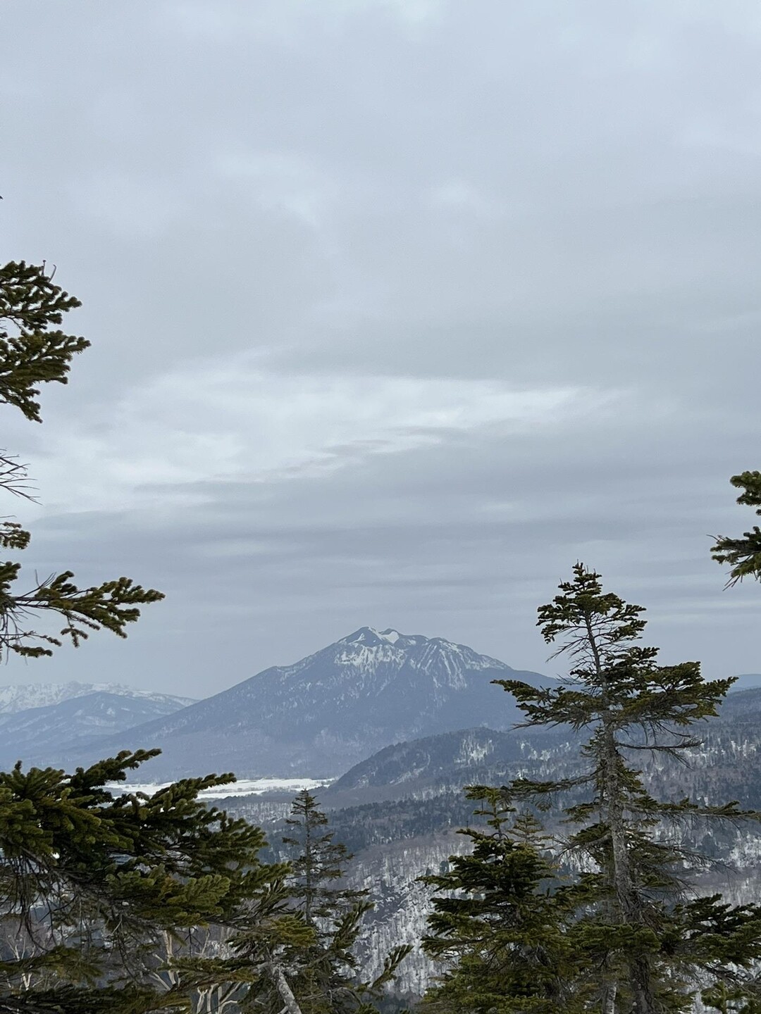 念願の至仏山BC / MAYUPさんの尾瀬・至仏山・悪沢岳・笠ヶ岳の活動データ | YAMAP / ヤマップ