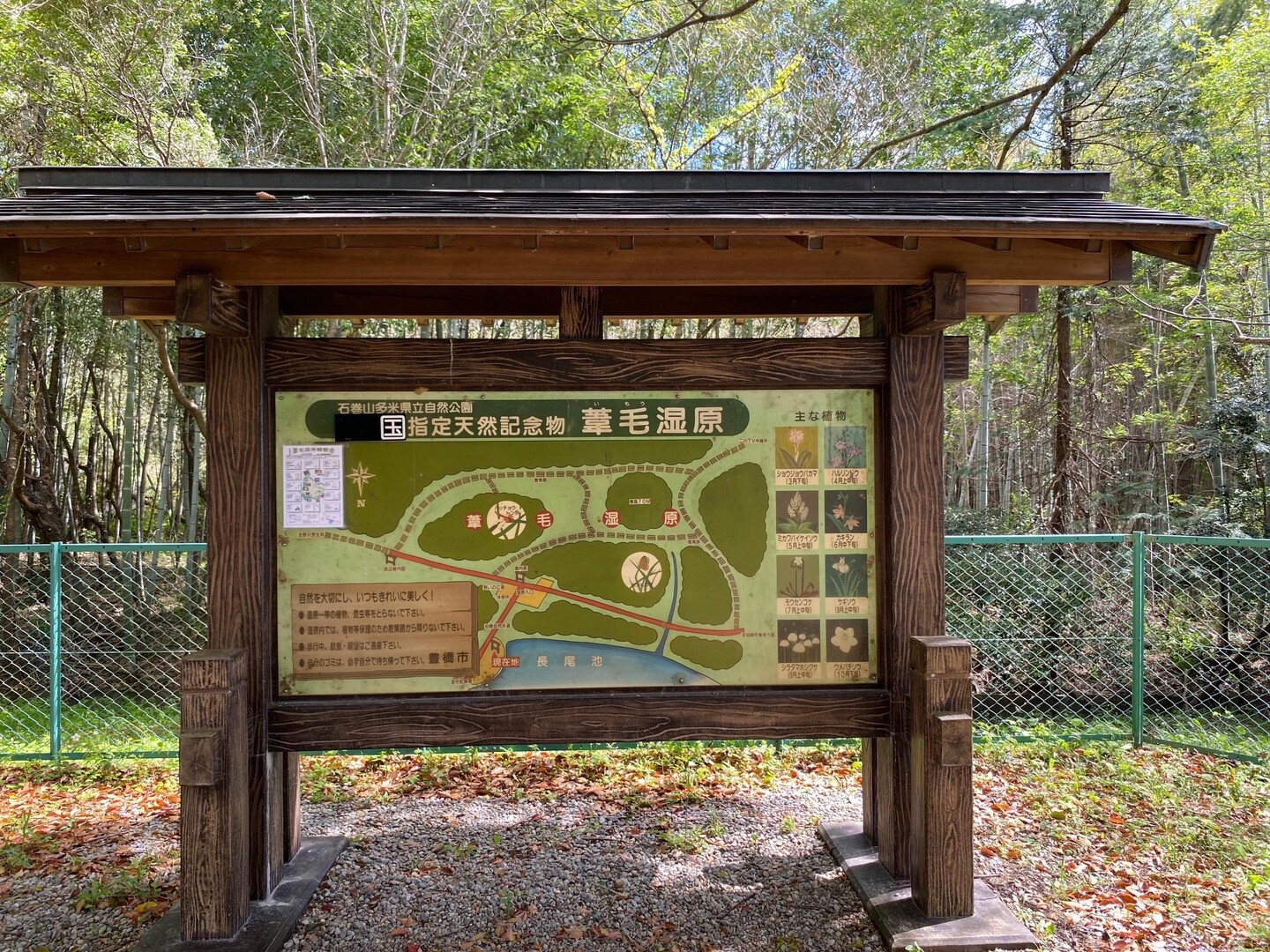 Red Comet 55さんの投稿したフィールドメモ | YAMAP / ヤマップ