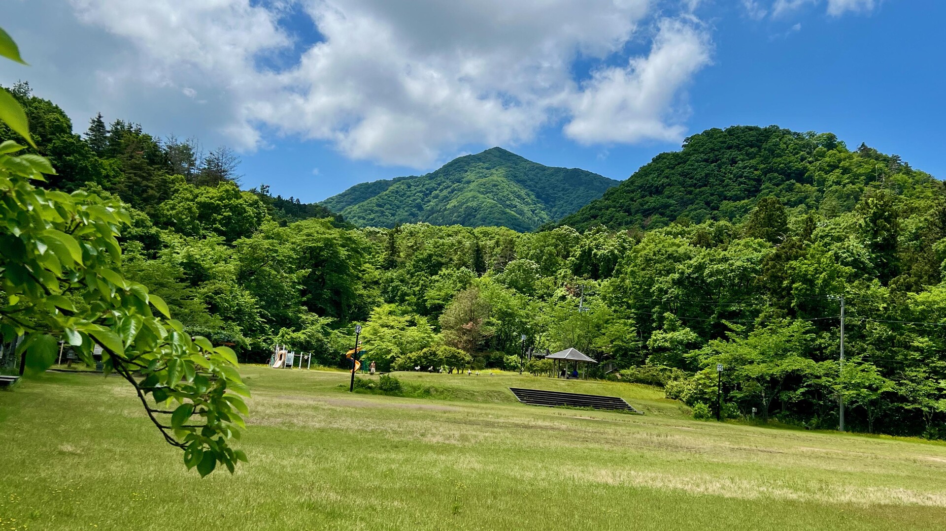 🎵グリン🟢グリン🎵 in 松ヶ岳・天神山 / George-Mさんの弥彦山・多宝山・雨乞山の活動データ | YAMAP / ヤマップ