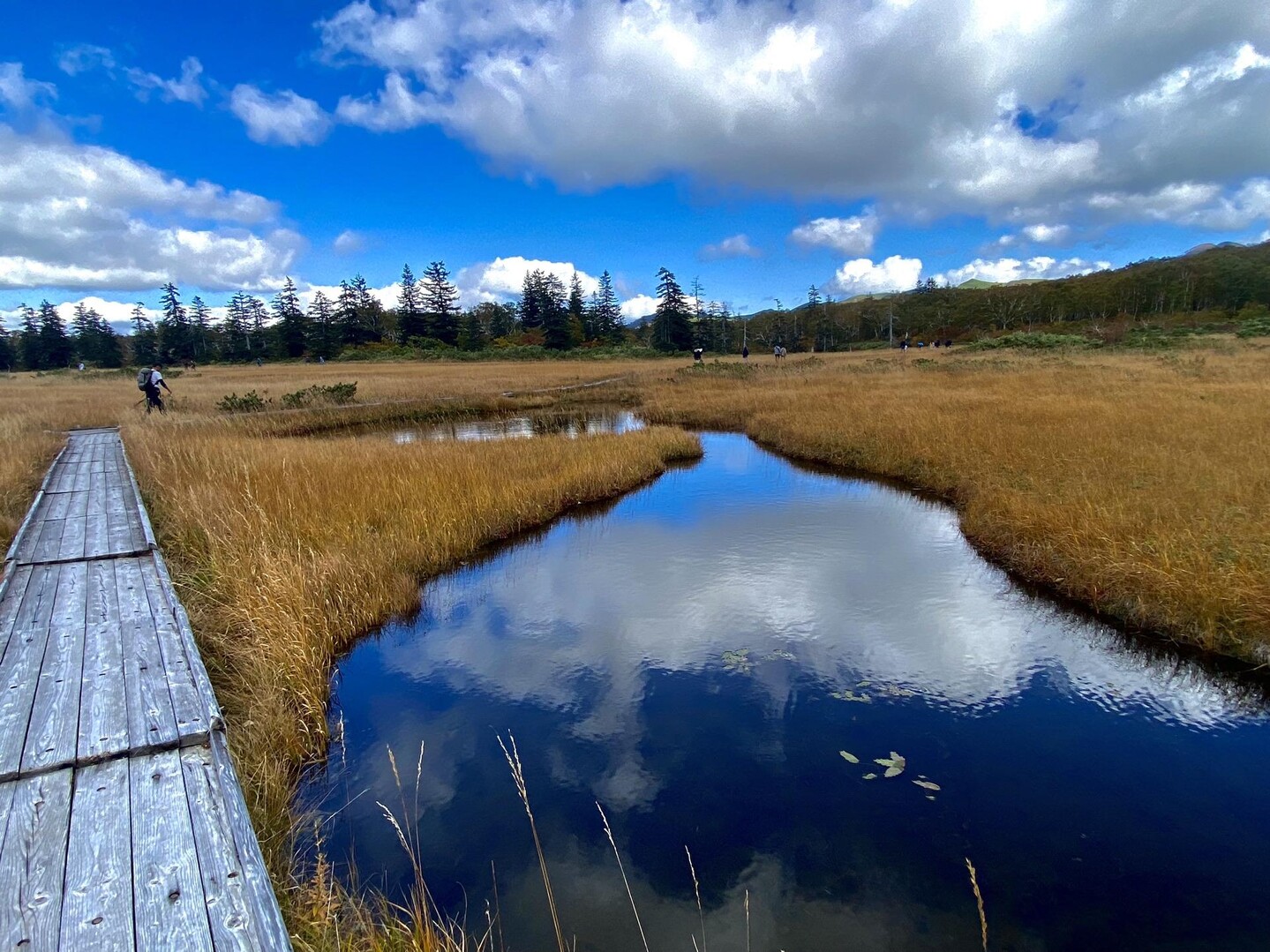 白樺山〜シャクナゲ岳〜神仙沼 / ︎ YU-tan ︎さんのニセコアンヌプリ・イワオヌプリ・チセヌプリの活動データ | YAMAP / ヤマップ