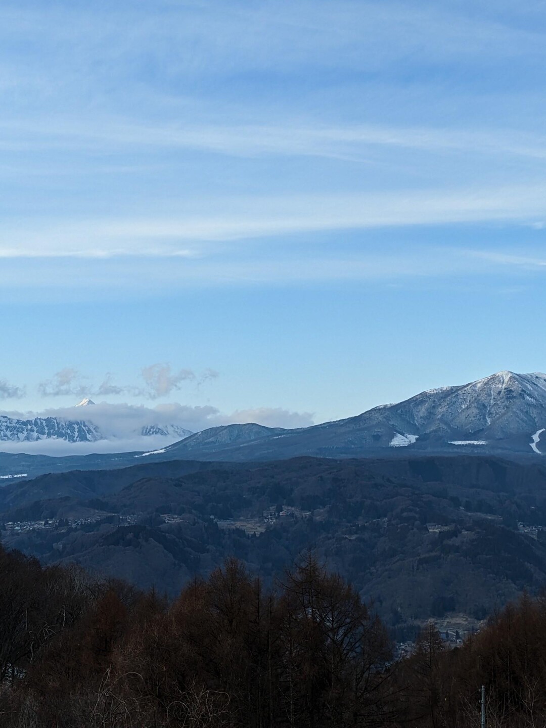 坂トレ #11 富士ノ塔山（1,000m盤） / たまぞうさんの長野市の活動データ | YAMAP / ヤマップ