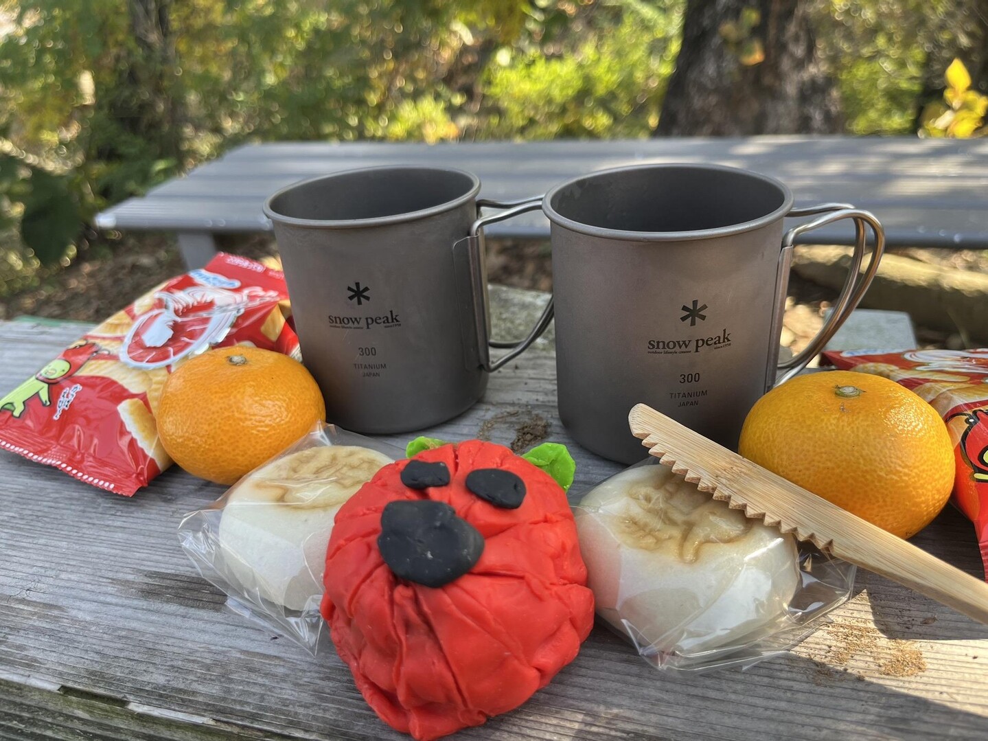 文殊山日記128(活動400日！) / kitaccoさんの文殊山の活動データ | YAMAP / ヤマップ