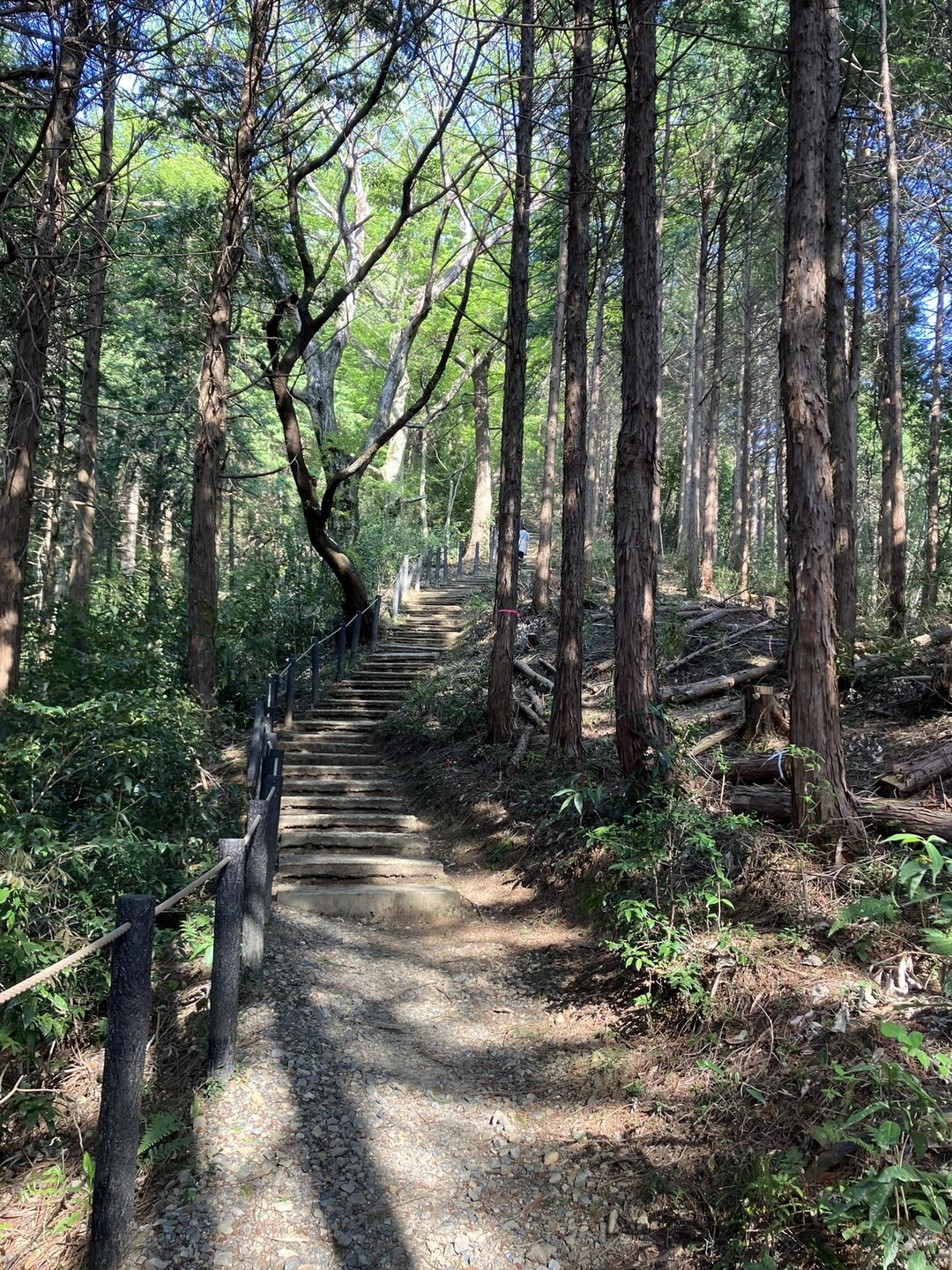 梟ヶ城址展望台 / J Smileさんの六所山・炮烙山の活動データ | YAMAP / ヤマップ