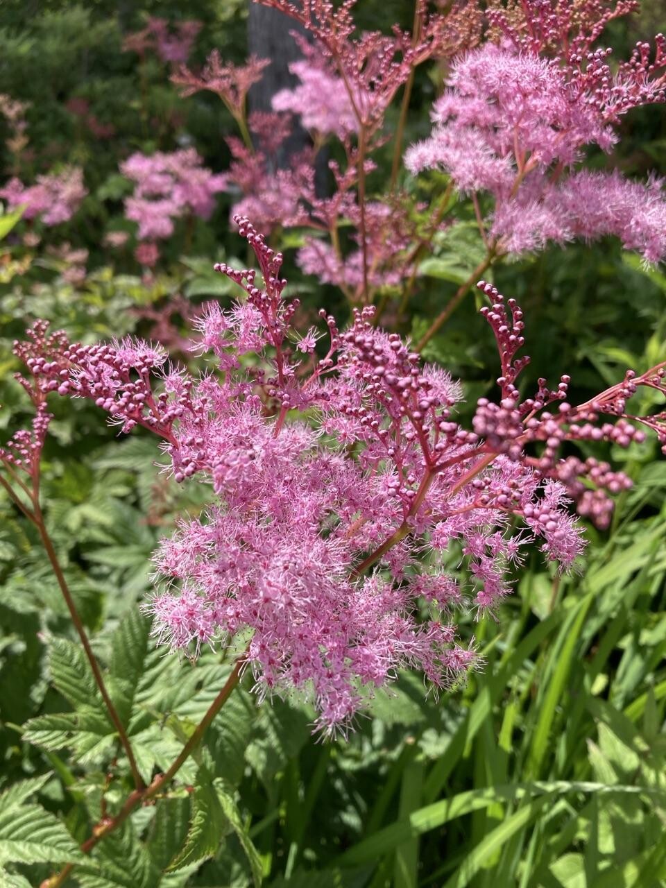 Namのページ | YAMAP / ヤマップ