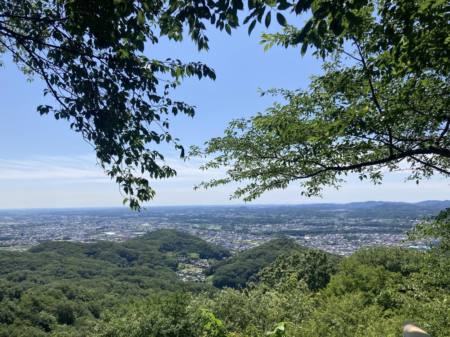 鐘撞堂山 / kawaさんの宝登山・長瀞アルプス・不動山・陣見山・鐘撞堂山の活動データ | YAMAP / ヤマップ