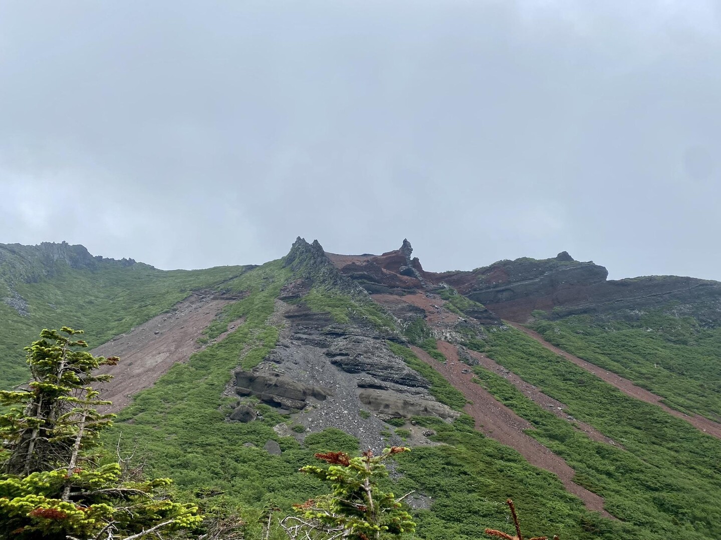 みんな大好き鬼ヶ城💕 / es3さんの岩手山・黒倉山・鞍掛山の活動データ | YAMAP / ヤマップ