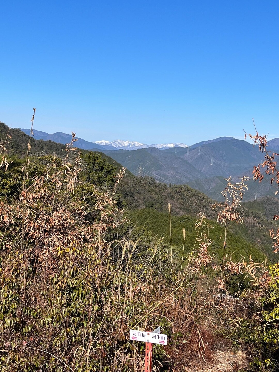 誕生山・白山・天王山 / hideki．Hさんの天王山・誕生山の活動データ | YAMAP / ヤマップ