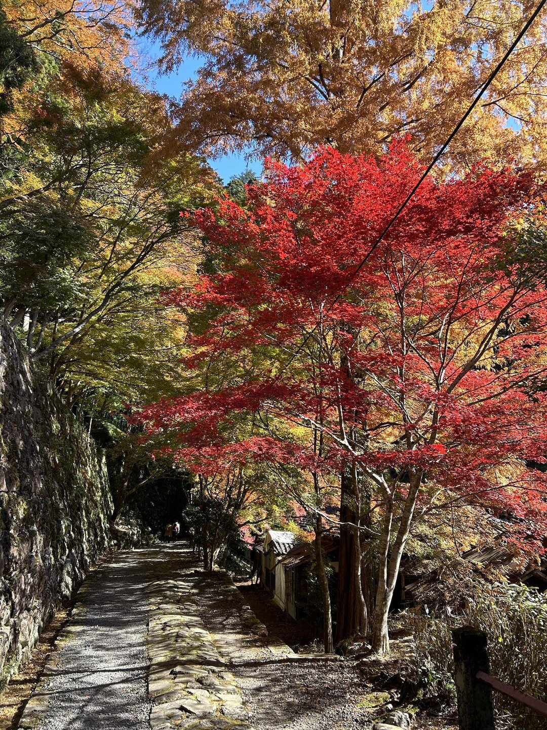 鳳来寺山・瑠璃山 / yt.crowさんの宇連山・鳳来寺山・岩古谷山の活動データ | YAMAP / ヤマップ
