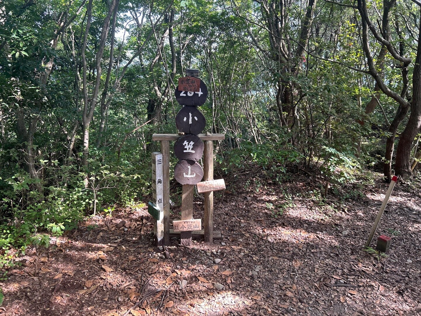 小笠山、六枚屏風 / bass_manさんの小笠山の活動データ | YAMAP / ヤマップ