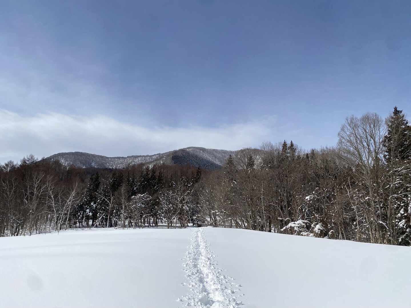 斑尾山・大明神岳 / nachaさんの斑尾山・信越トレイル（斑尾山・赤池・希望湖）の活動データ | YAMAP / ヤマップ