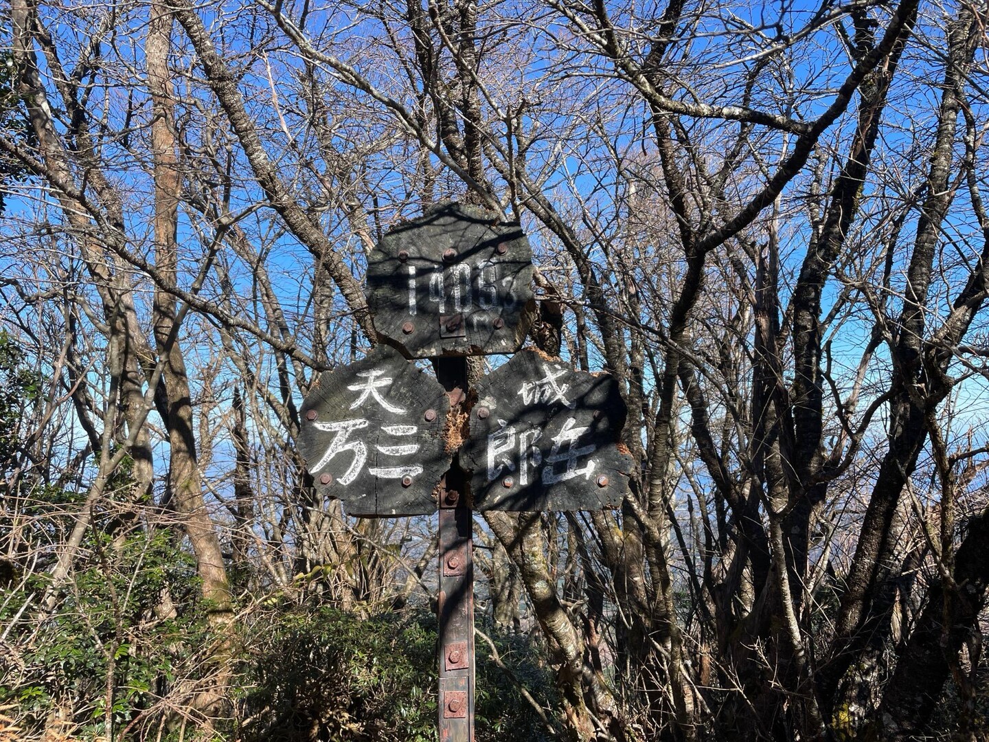 万二郎岳（天城山）・万三郎岳（天城山） / t.tamioさんの天城山・鉢ノ山・三筋山の活動データ | YAMAP / ヤマップ