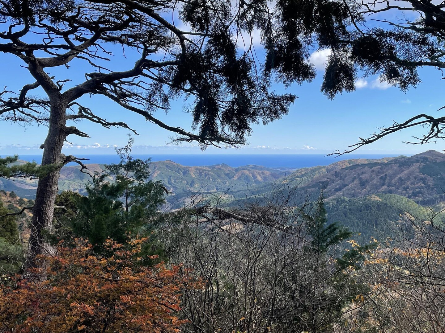 奥ノ院峰・栄蔵室・花園山（花園神社を起点にグルリと周回） / tana_shuさんの栄蔵室・花園山の活動データ | YAMAP / ヤマップ