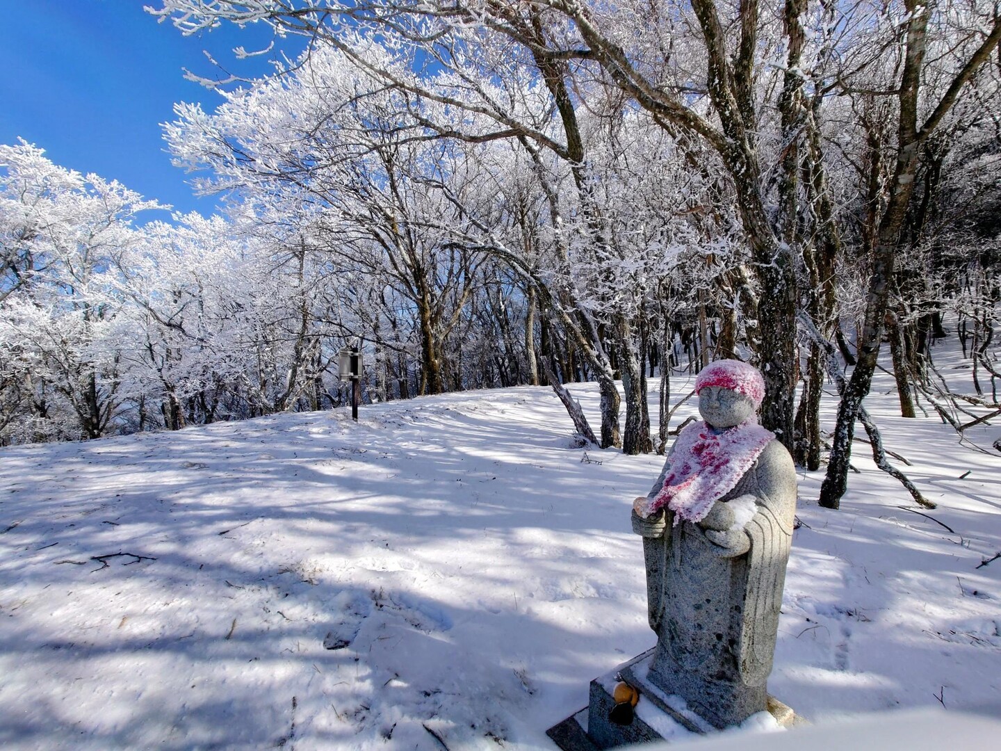 クリスタルな霧氷 と新雪⛄️の祖母山🎶へ\⁠(⁠^⁠o⁠^⁠)⁠／ / SHIROさんの祖母山の活動日記 | YAMAP / ヤマップ