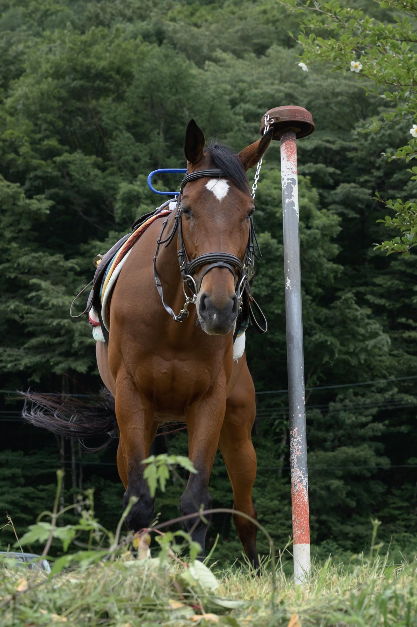 今日も暑いですね / vlog_tottiyさんのモーメント | YAMAP / ヤマップ