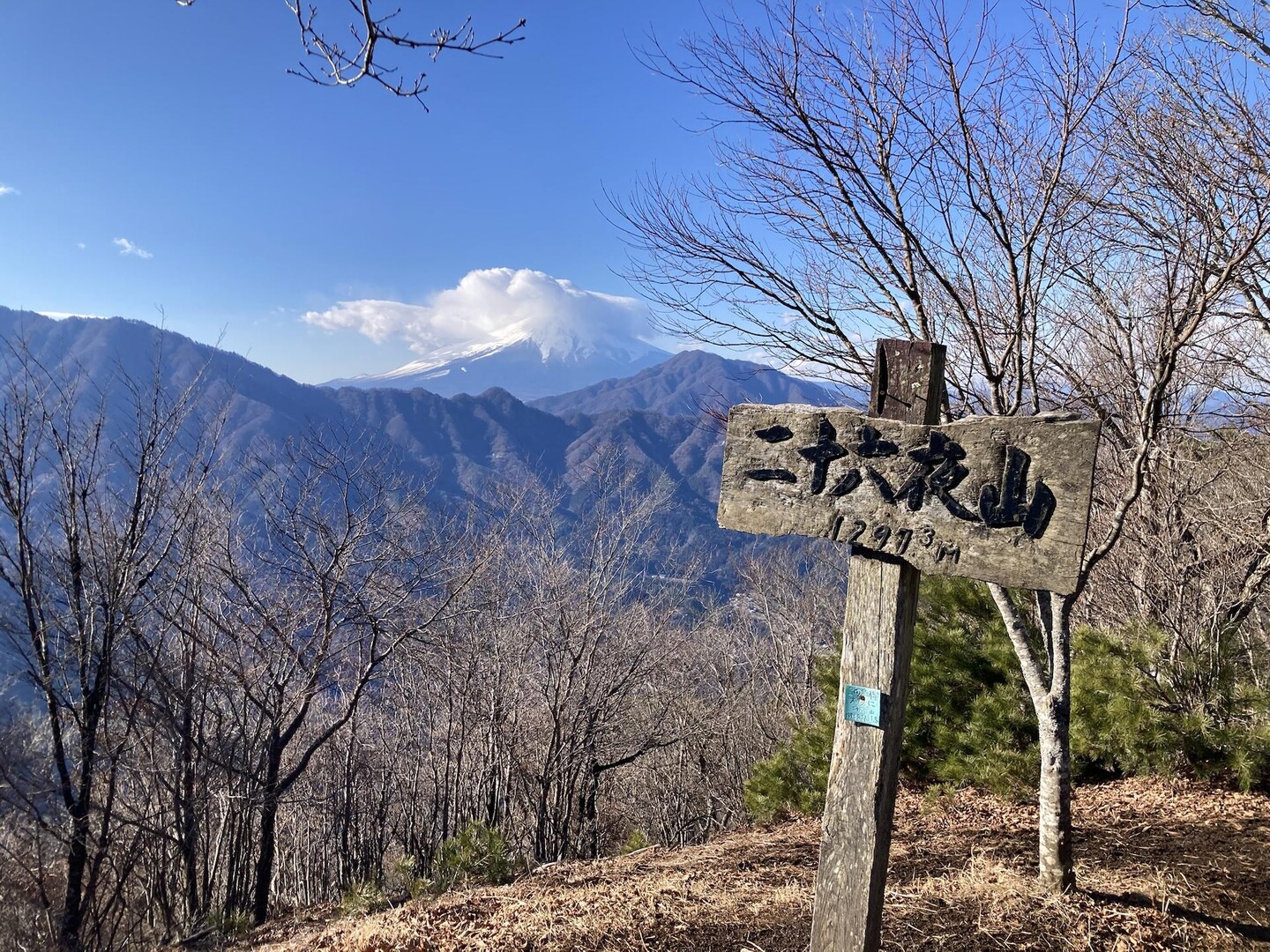 今倉山と道志二十六夜山 / plasmonさんの大室山・畦ヶ丸山・菰釣山の活動データ | YAMAP / ヤマップ
