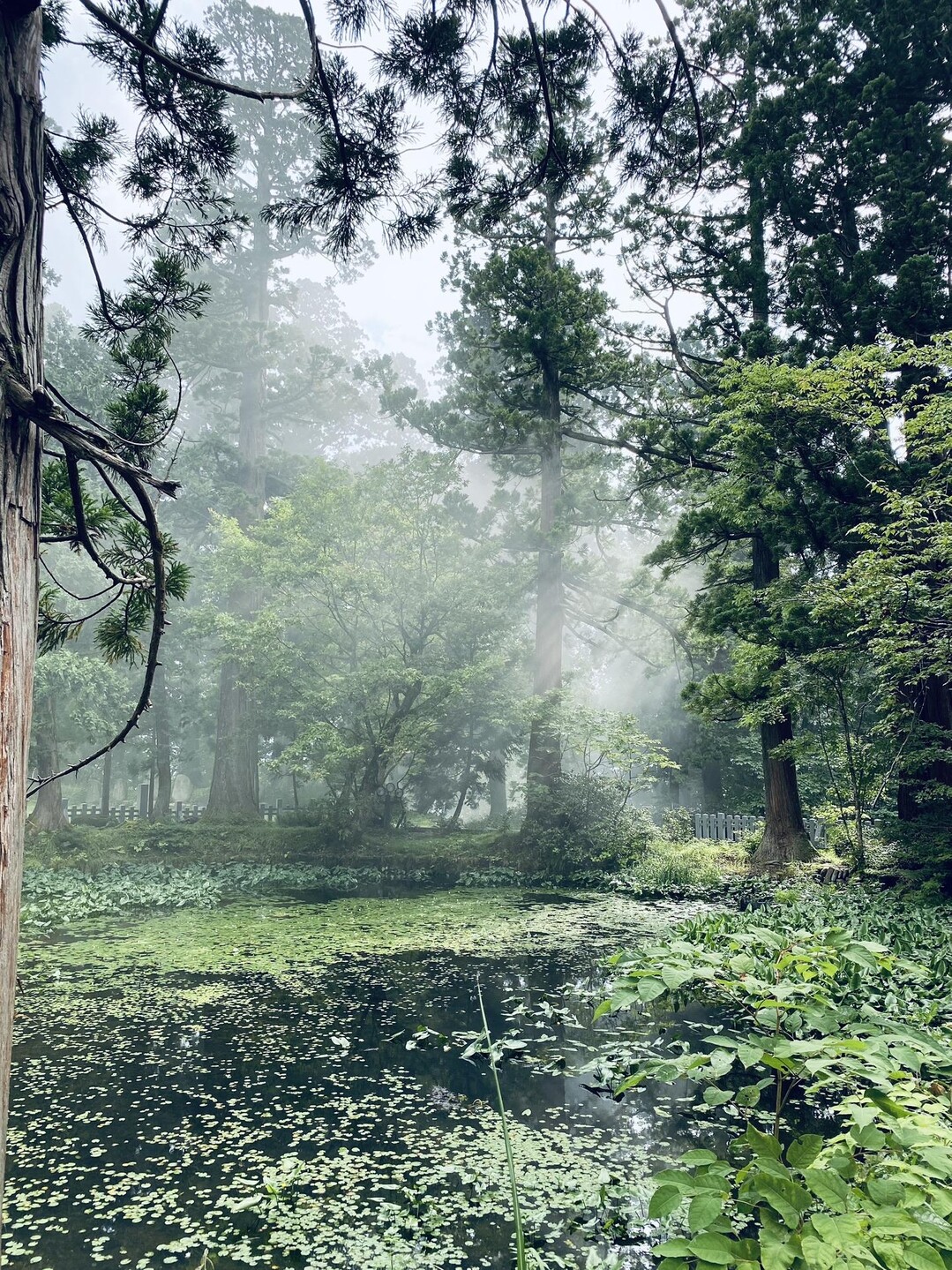 2021.8 月山8合目より初登山 霊山... / KAORINさんのモーメント | YAMAP / ヤマップ