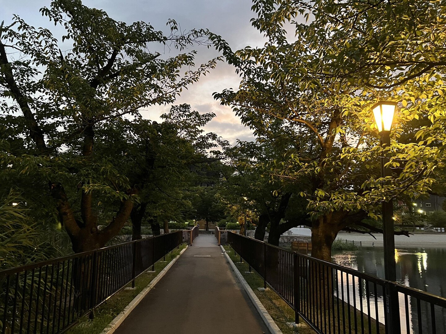 大川・大阪城公園 Run&Walk -2023-07-31 / mattさんの大阪市の活動データ | YAMAP / ヤマップ