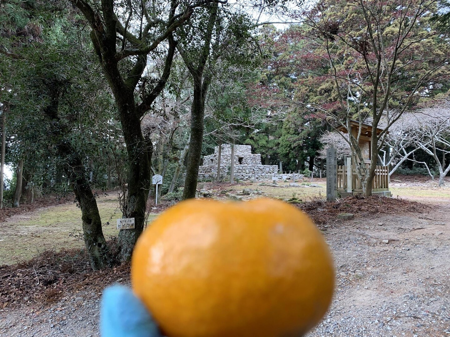 龍神山・熊山 / kinocoさんの熊山・高津山・尺八山の活動データ | YAMAP / ヤマップ