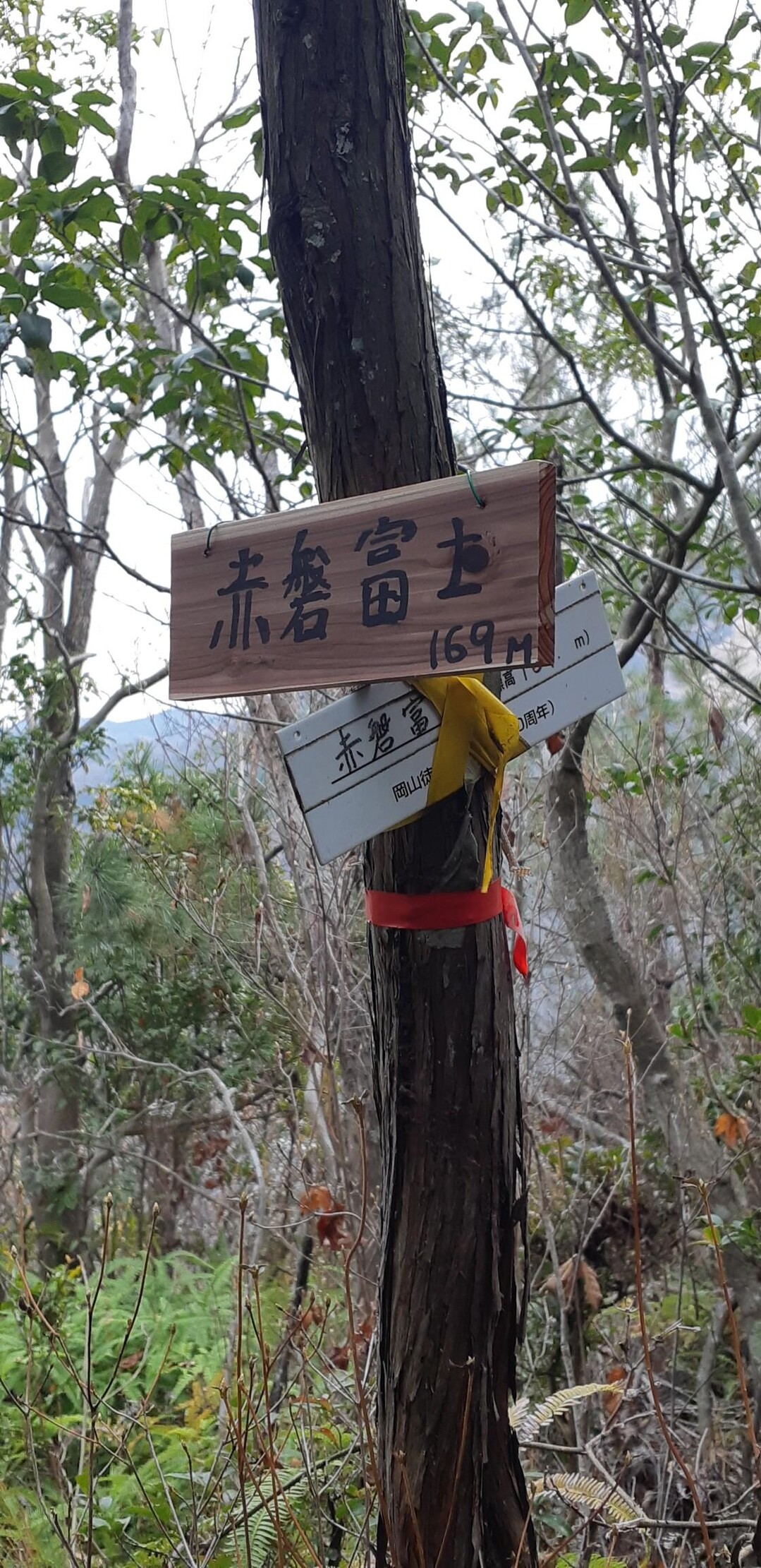 「誰も行かない山」赤磐富士169m / 山人さんの臥龍山の活動データ | YAMAP / ヤマップ