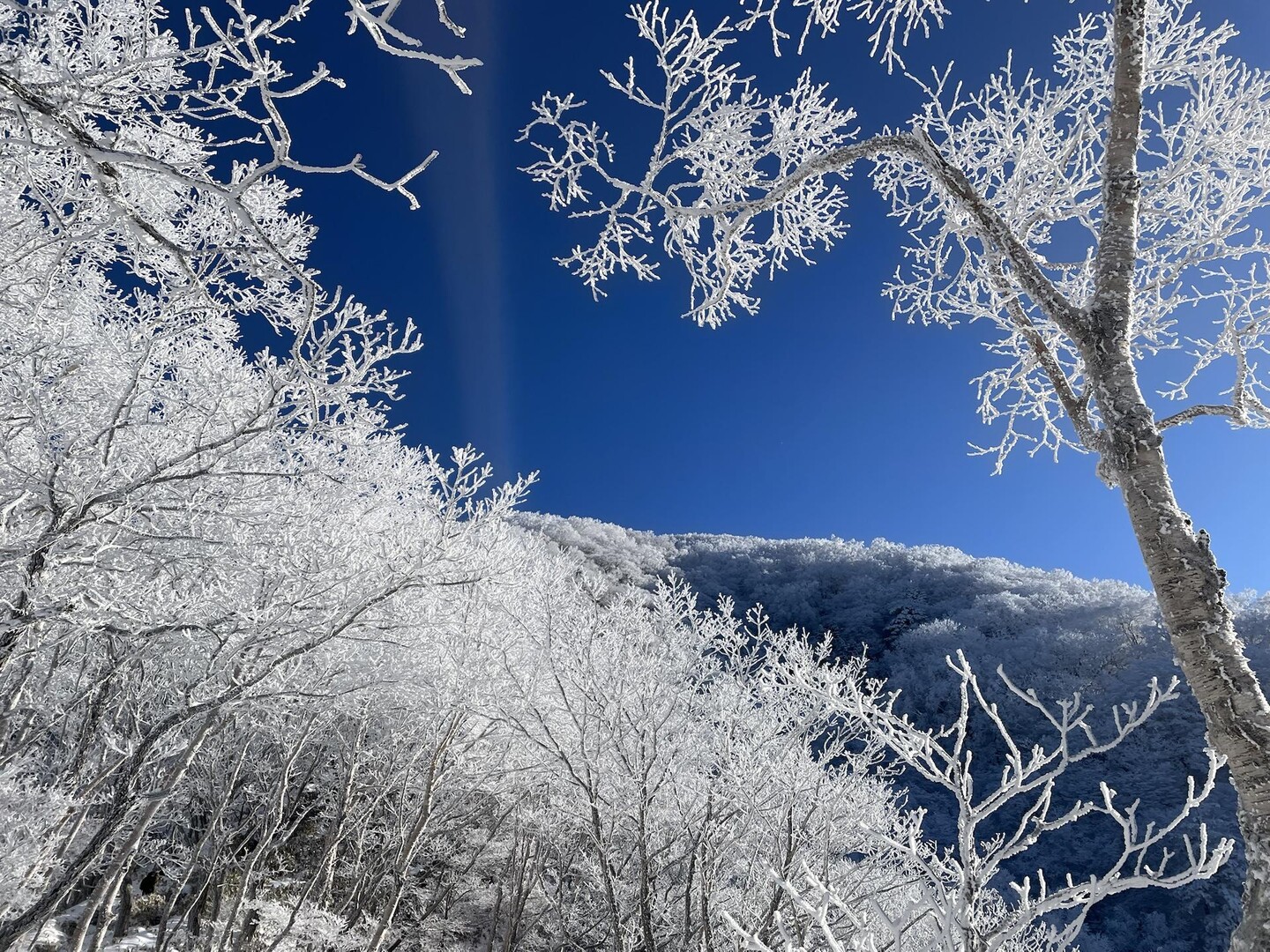 good-bye 2024 ⚡︎ 黒檜山（赤城山）・駒ヶ岳 / アキロックさんの赤城山・黒檜山・荒山の活動日記 | YAMAP / ヤマップ