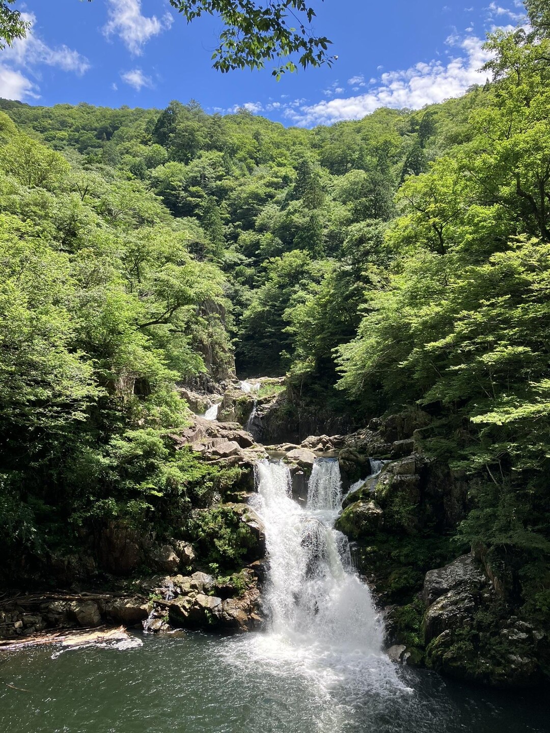 三段峡-2024-07-21 / kakkyさんの三段峡の活動データ | YAMAP / ヤマップ