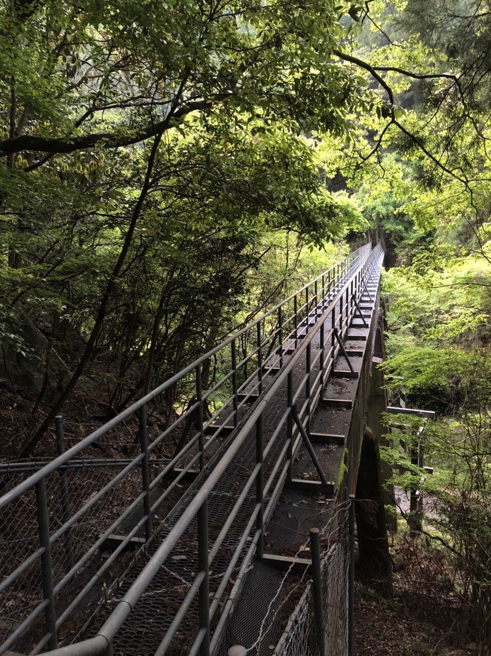 【津10】 今朝活@高束山 / namisuke🐝さんの矢頭山の活動データ | YAMAP / ヤマップ