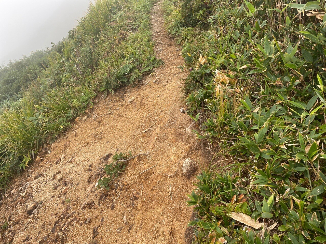 Hideyan🐶さんの投稿したフィールドメモ | YAMAP / ヤマップ