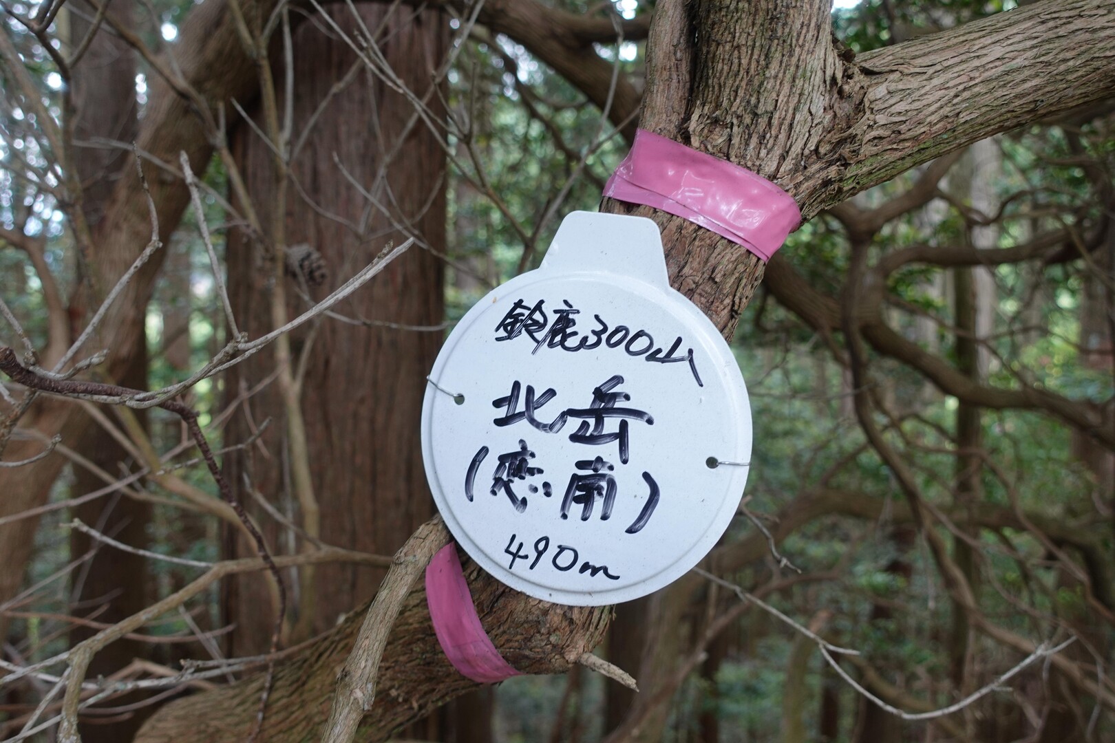 【鈴五33・34】鈴鹿の北岳2連登（能登ヶ峰-サクラグチ周回） / persさんの綿向山の活動日記 | YAMAP / ヤマップ