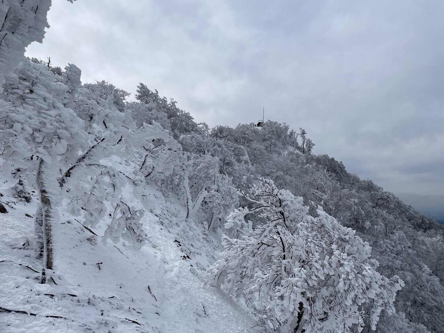 高山・黒石山・船峯山・大天狗岩・天狗山・カヤノ山・高見山 / MKさんの高見山・黒石山・天狗山の活動データ | YAMAP / ヤマップ