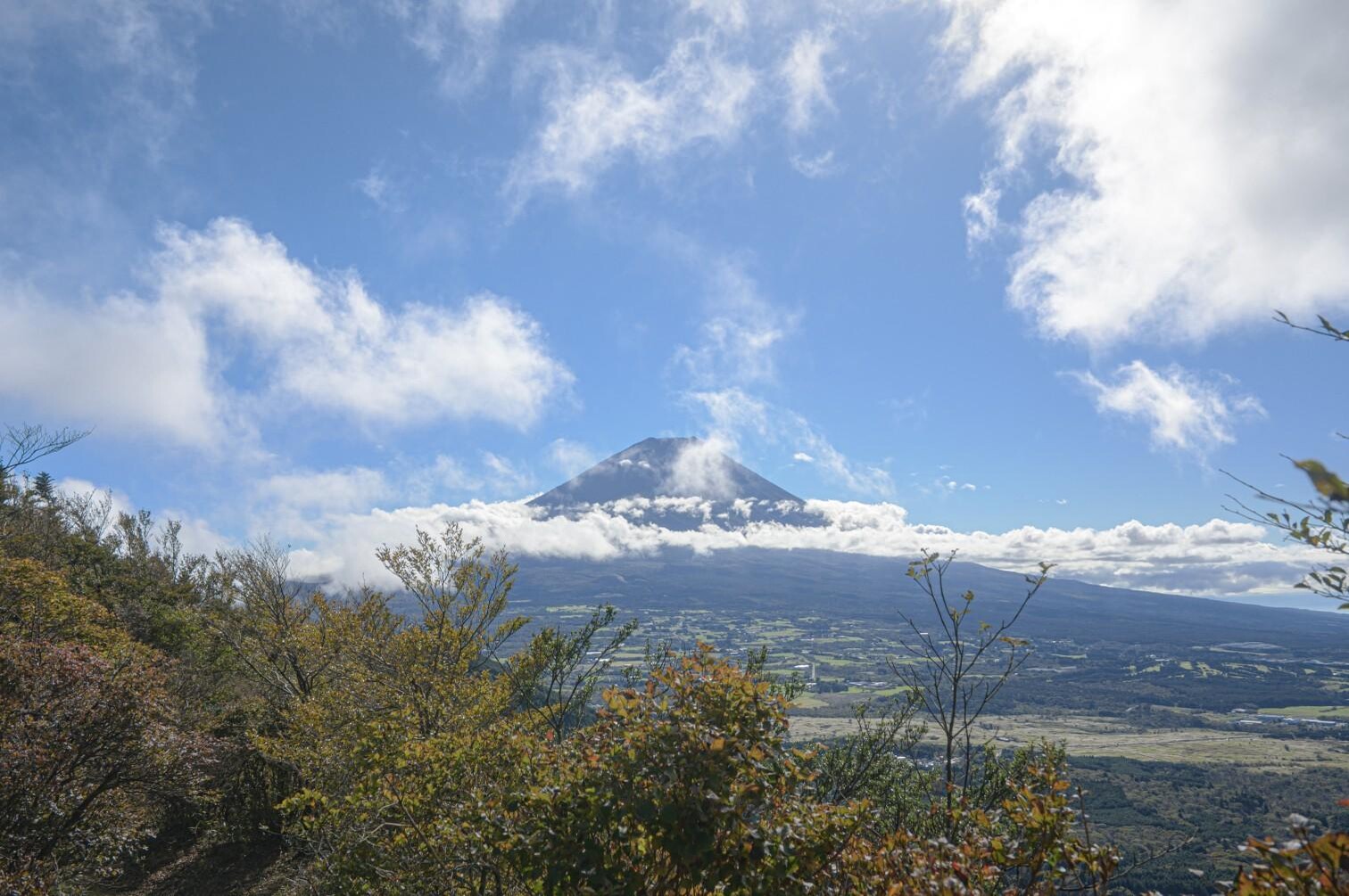 竜ヶ岳・中ノ倉山 本栖湖一周 / vlog_tottiyさんの毛無山・雨ヶ岳・竜ヶ岳の活動データ | YAMAP / ヤマップ
