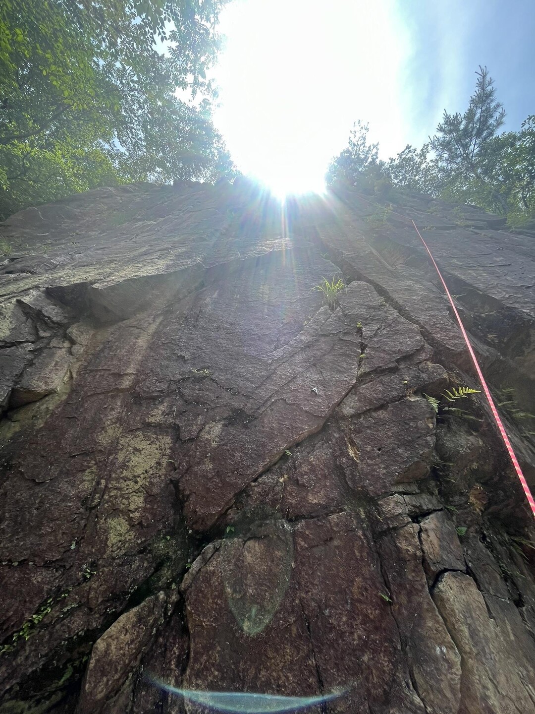 ゲートロック、ホワイトフェンス / sinnさんの六甲山・長峰山・摩耶山の活動データ | YAMAP / ヤマップ
