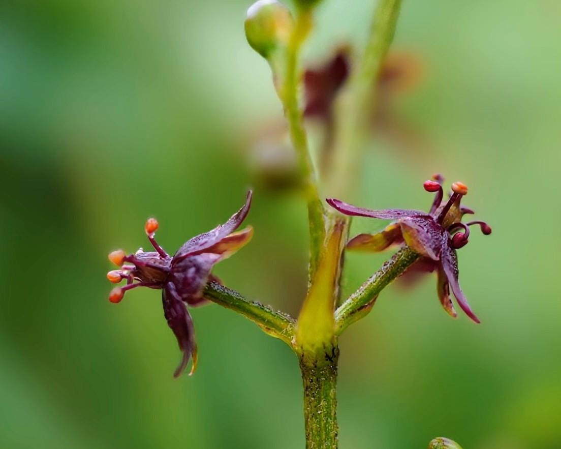 天山と樫原湿原 / 山きんぐさんの天山の活動データ | YAMAP / ヤマップ