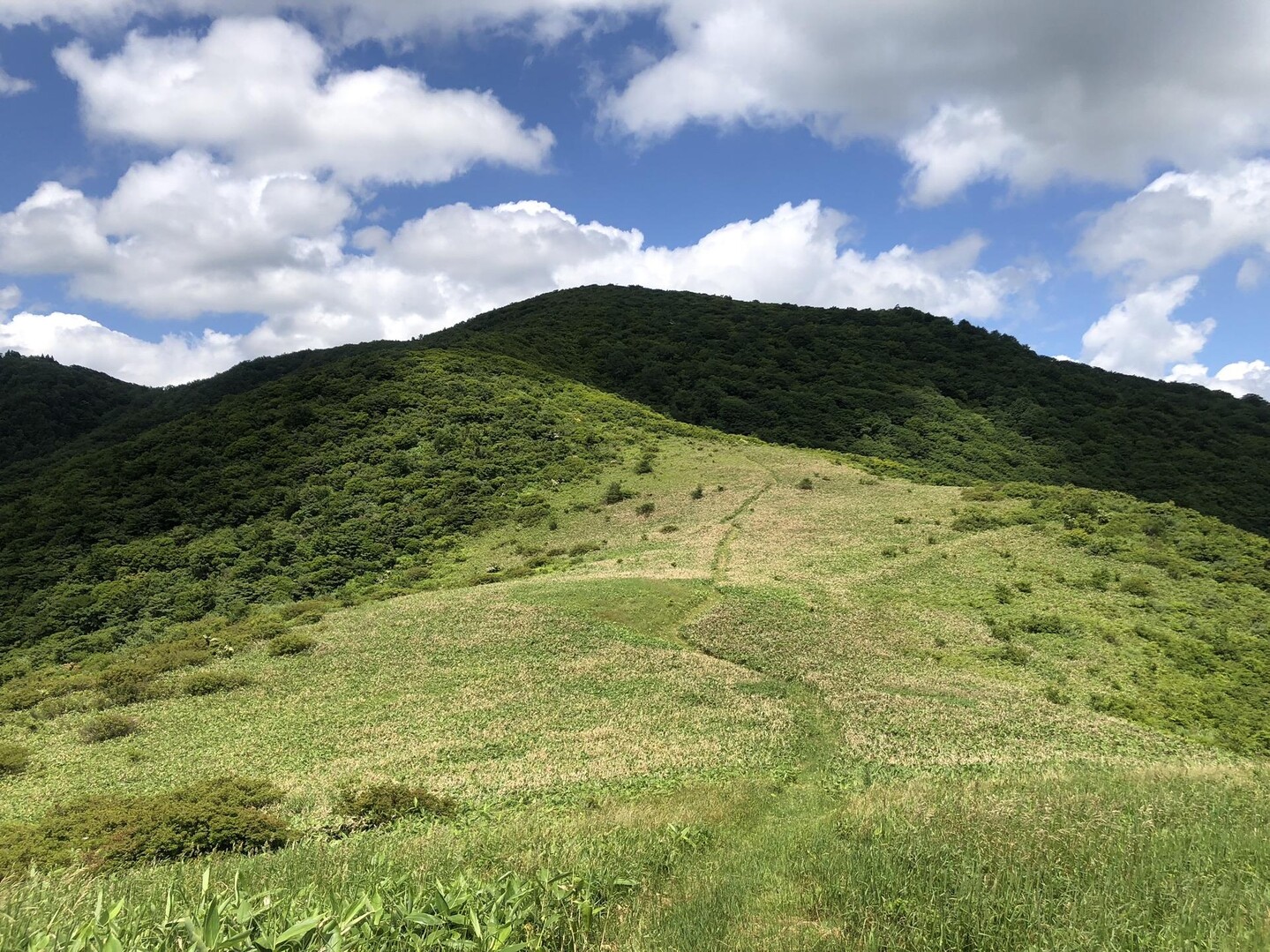 名前に惹かれて🐉龍ヶ岳 / BWさんの龍ヶ岳の活動データ | YAMAP / ヤマップ