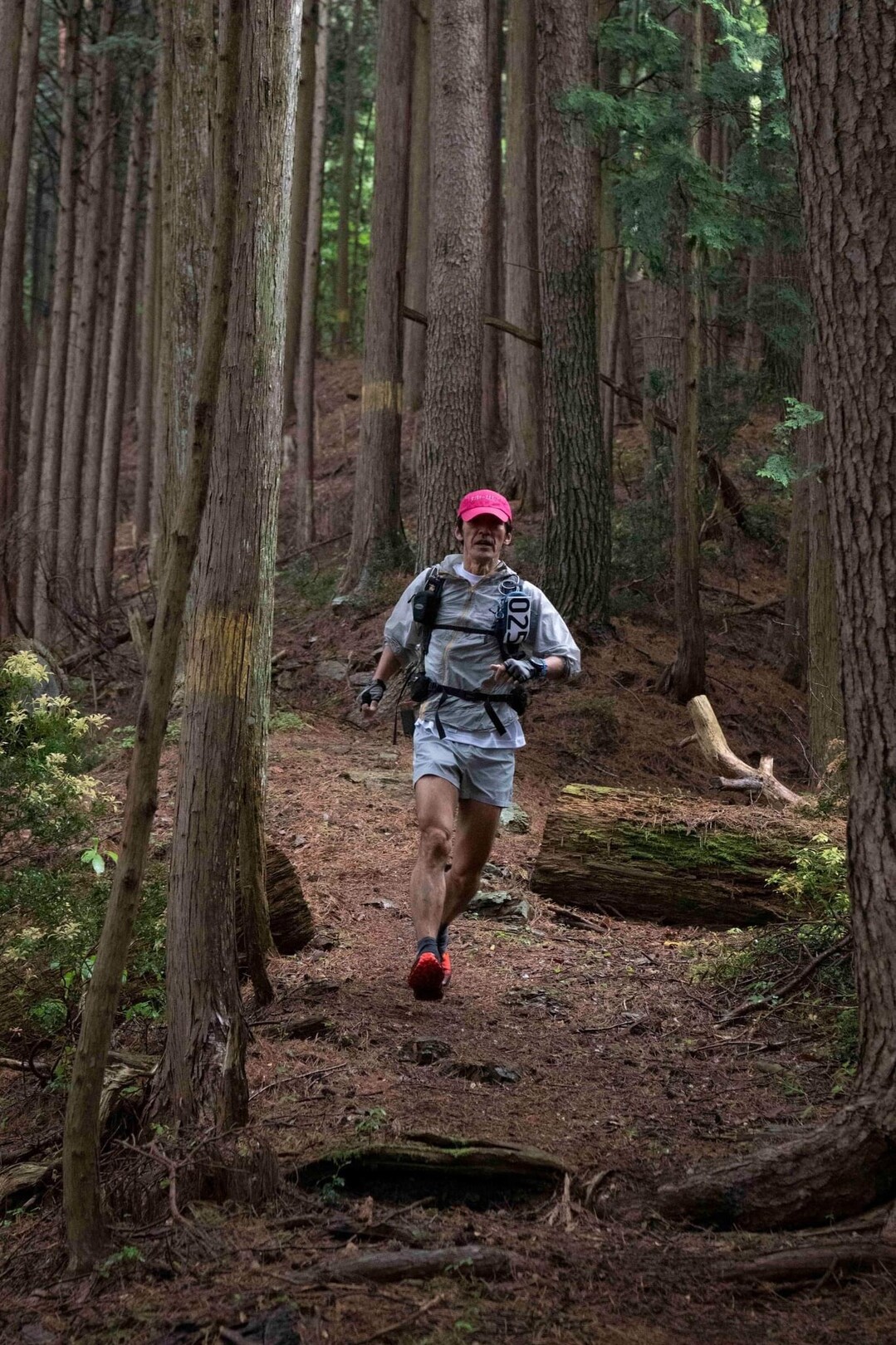 Kobo Trail 2024 ～弘法大師の道～ / HASEさんの弘法大師の道の活動データ | YAMAP / ヤマップ