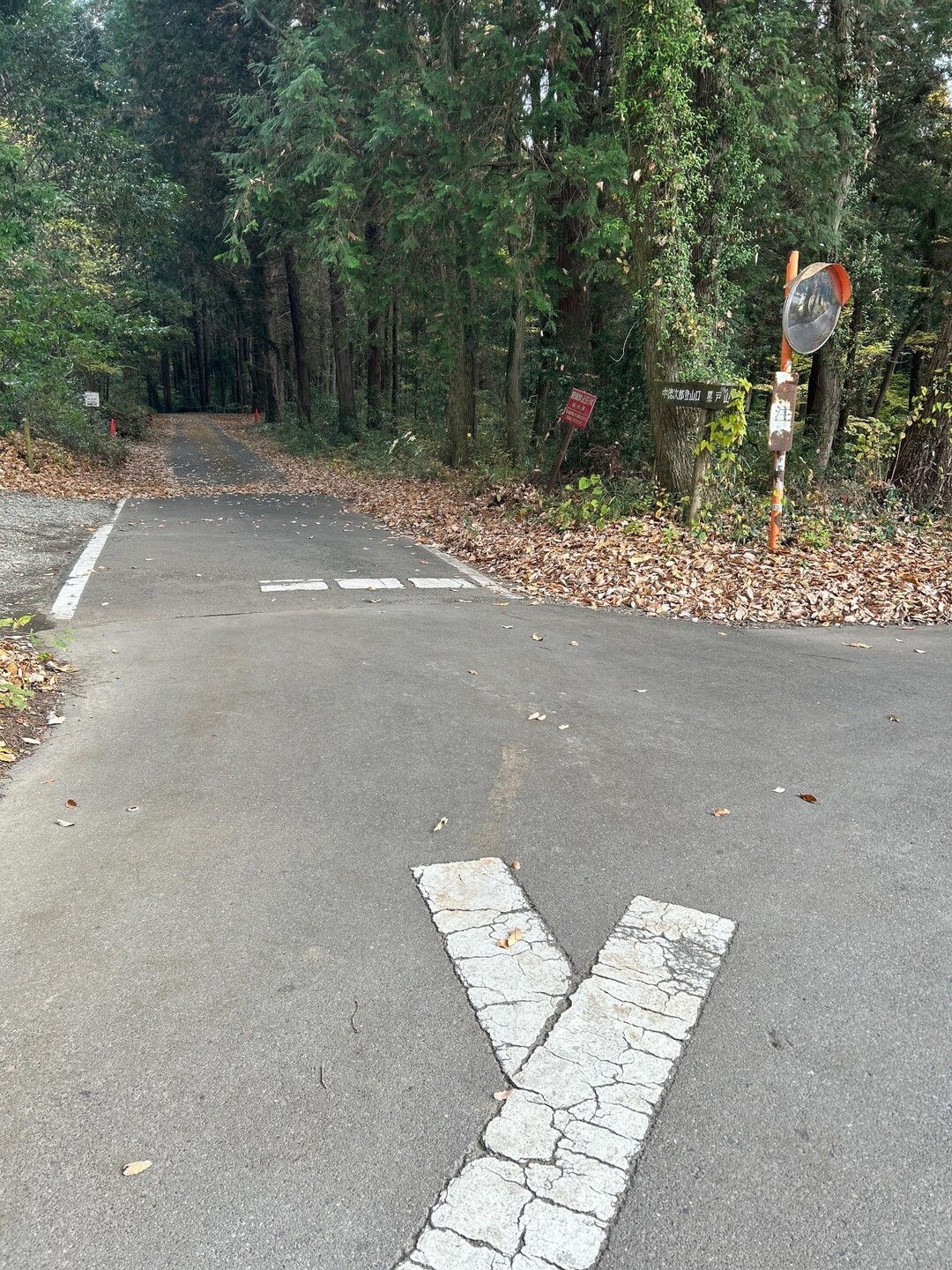 yuu39さんの投稿したフィールドメモ | YAMAP / ヤマップ