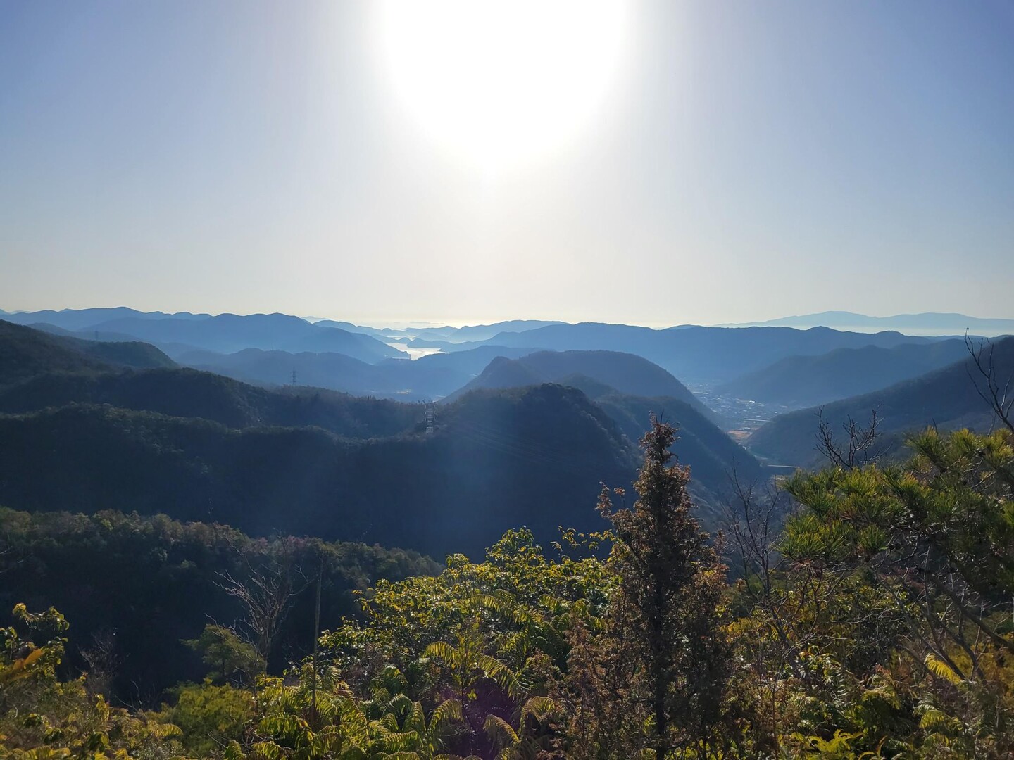 大滝山・舟下山・尺八山・宮山・医王山 / RIMOさんの熊山・高津山・尺八山の活動データ | YAMAP / ヤマップ