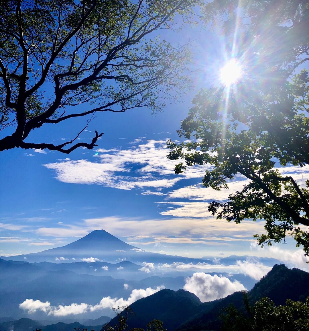 八紘嶺 / IMOさんの山伏・八紘嶺・笹山の活動データ | YAMAP / ヤマップ