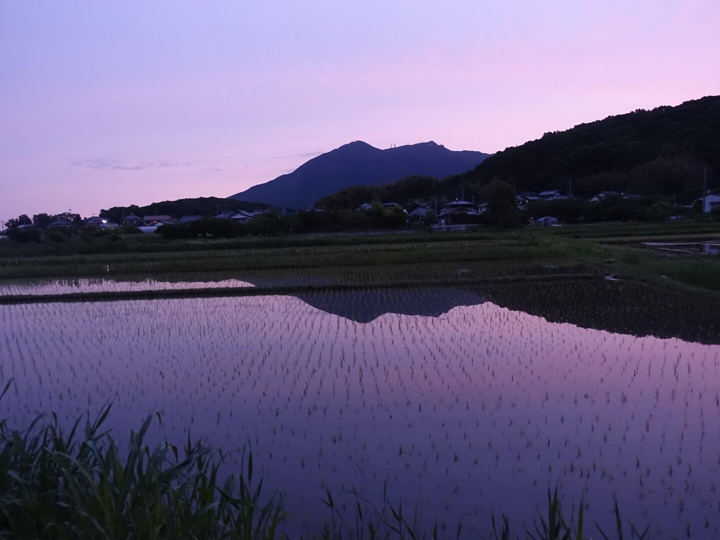 つくば100kmウォーク 関東護り神の懐で完歩 / mieeさんのウォーキングの活動データ | YAMAP / ヤマップ