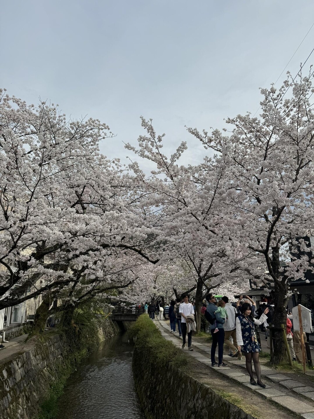 善気山 / 105sunさんの京都一周トレイルの活動データ | YAMAP / ヤマップ
