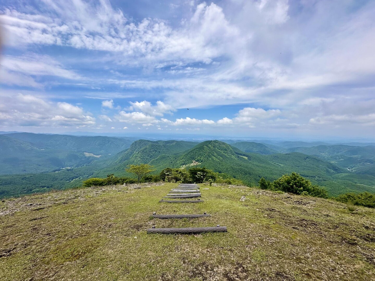 大洞山→尼ヶ岳 / Mioさんの大洞山・尼ヶ岳の活動データ | YAMAP / ヤマップ