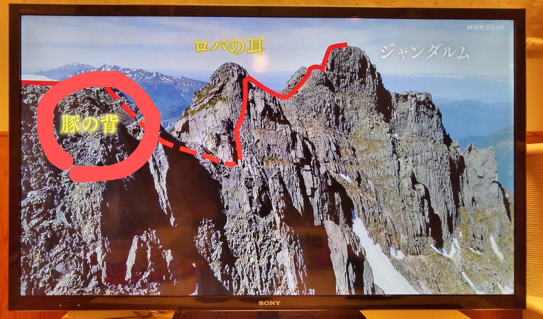 豚の背？ NHK BS4K｢にっぽん百... / nobita0082さんのモーメント | YAMAP / ヤマップ