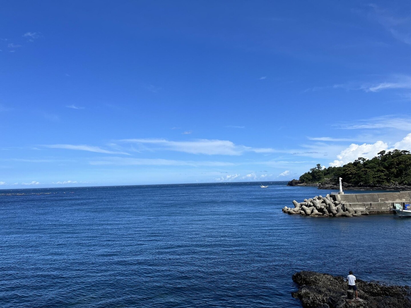 久しぶりの伊豆へ 購入したばかりのGOP... / underwaterさんのモーメント | YAMAP / ヤマップ