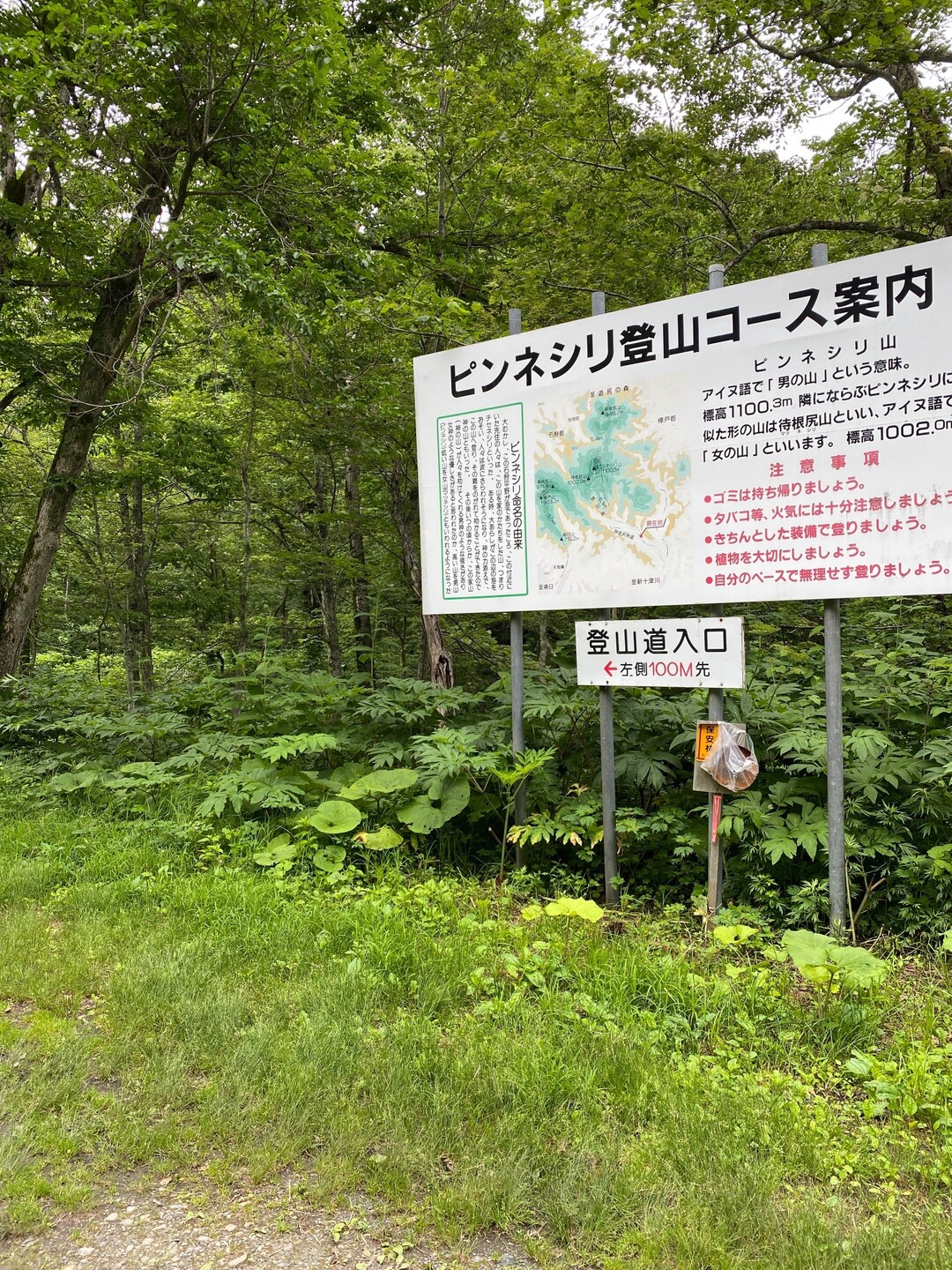 Teruさんの投稿したフィールドメモ | YAMAP / ヤマップ