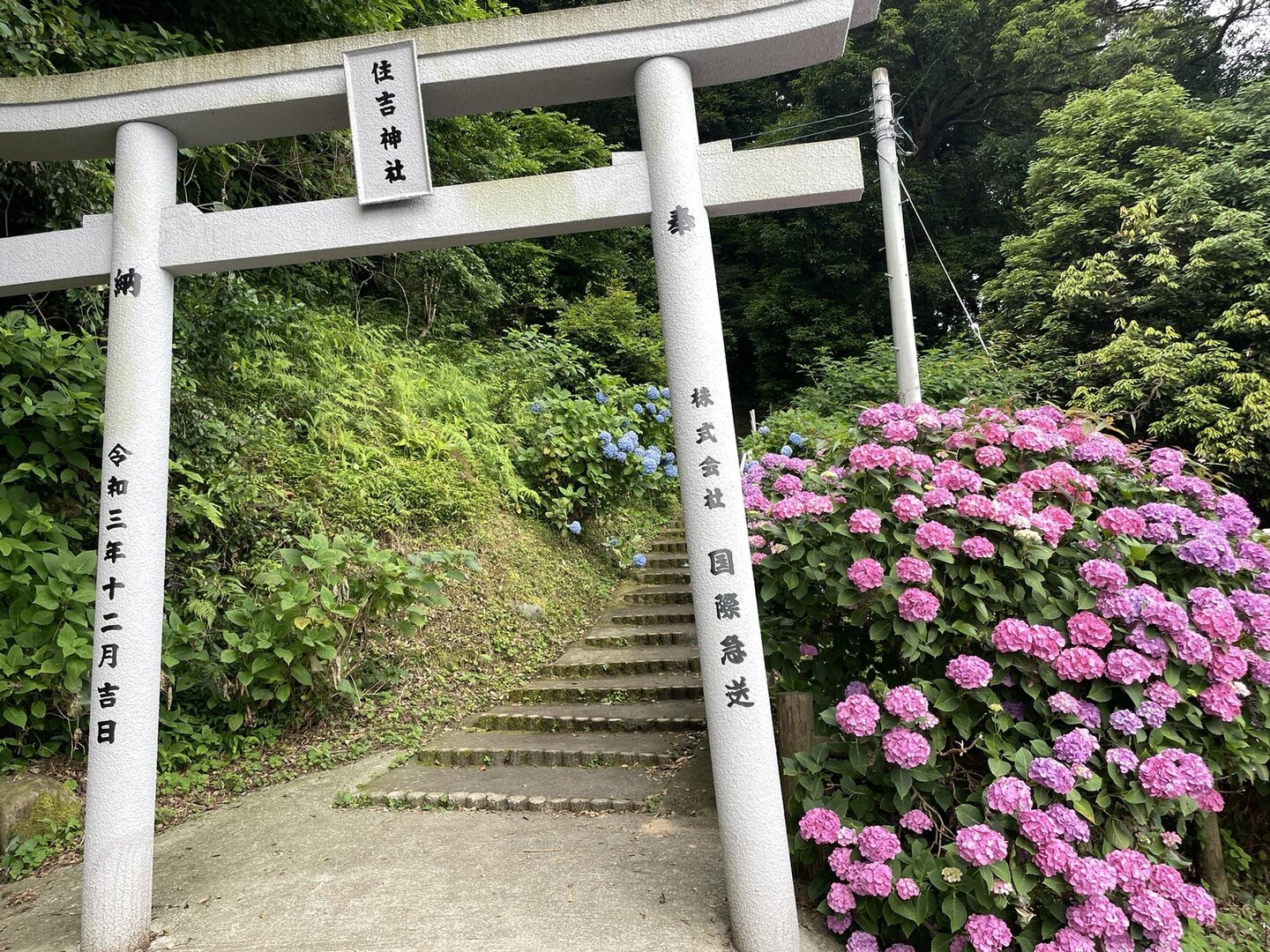 宇土の住吉自然公園へ紫陽花を見にぶらり ... / yuriさんのモーメント | YAMAP / ヤマップ