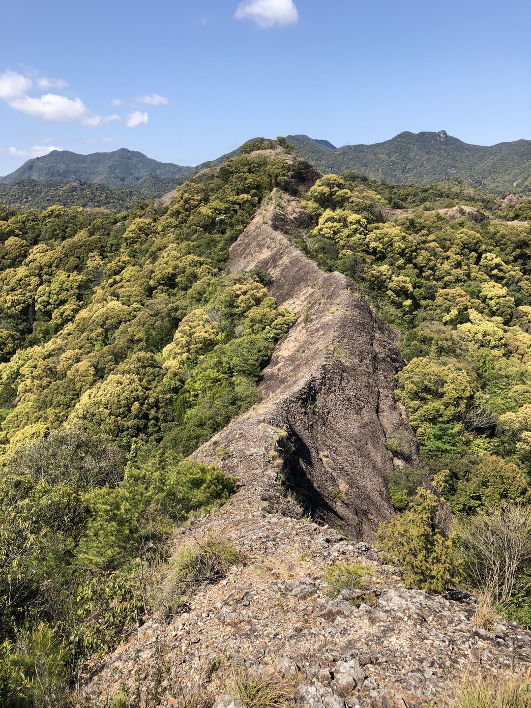 有田ジャンダルム 黒髪山・青螺山-2022-04-16 / Bess-ななさんの黒髪山・青螺山の活動データ | YAMAP / ヤマップ