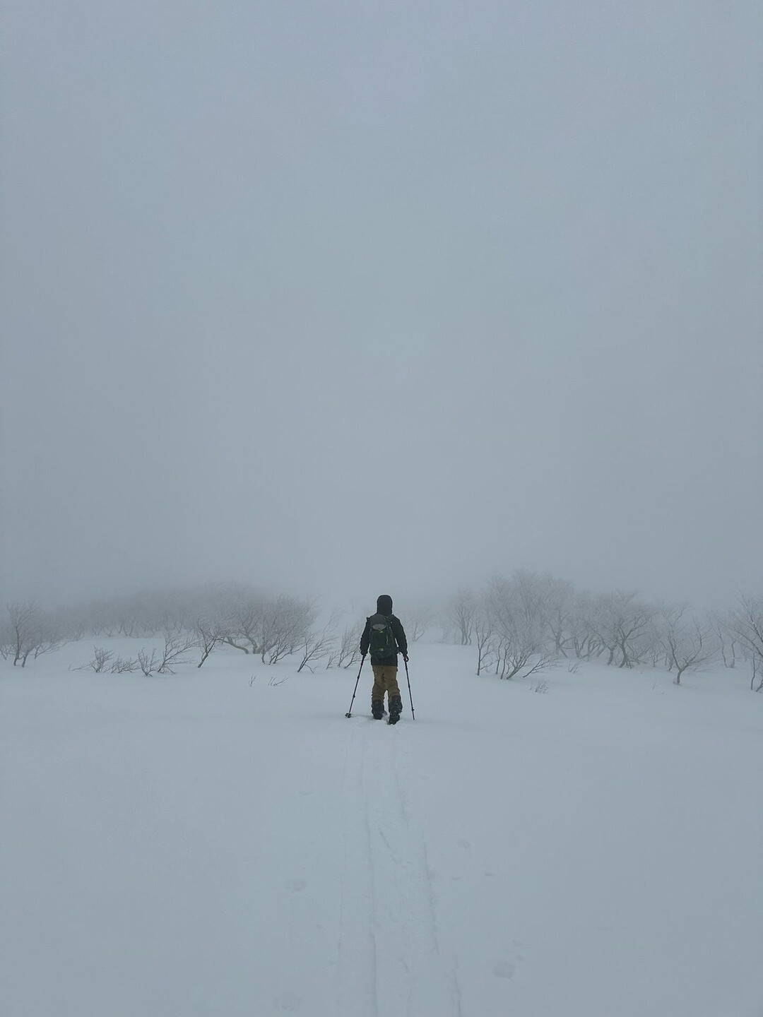 横岳 BC / chikaさんの羽山・羽黒山・月山の活動データ | YAMAP / ヤマップ