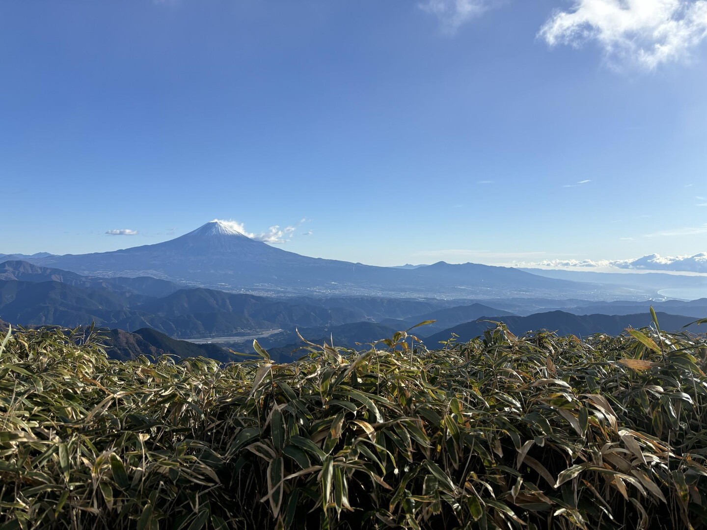 青笹山(ついでに十枚山) / Jin.wさんの十枚山の活動データ | YAMAP / ヤマップ