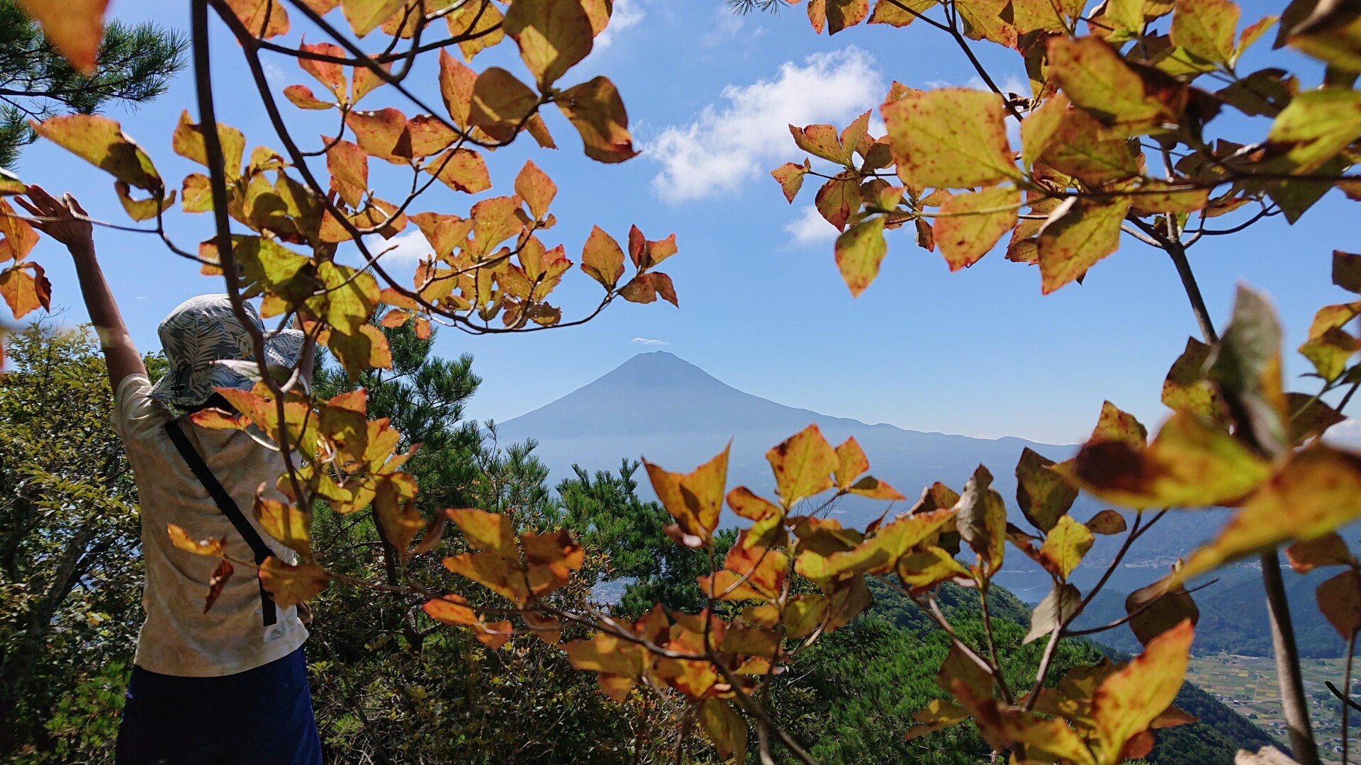 御坂トンネルから黒岳周回🗻 / 2543mさんの三ッ峠山・本社ヶ丸・鶴ヶ鳥屋山の活動データ | YAMAP / ヤマップ