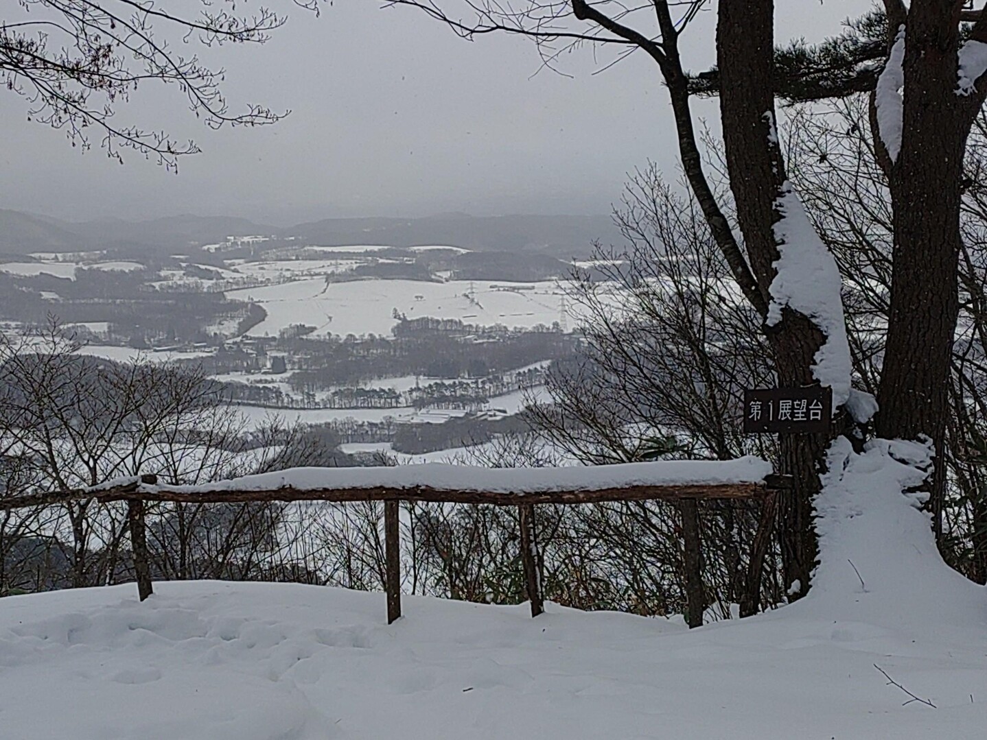 2024-12-12-鞍掛山（労働） / bakkyさんの岩手山・黒倉山・鞍掛山の活動データ | YAMAP / ヤマップ