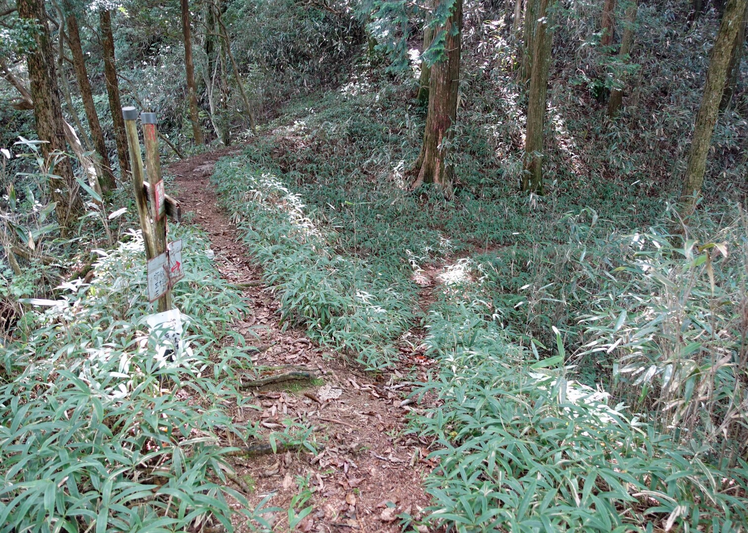 wtaxus わたくさすさんの投稿したフィールドメモ | YAMAP / ヤマップ